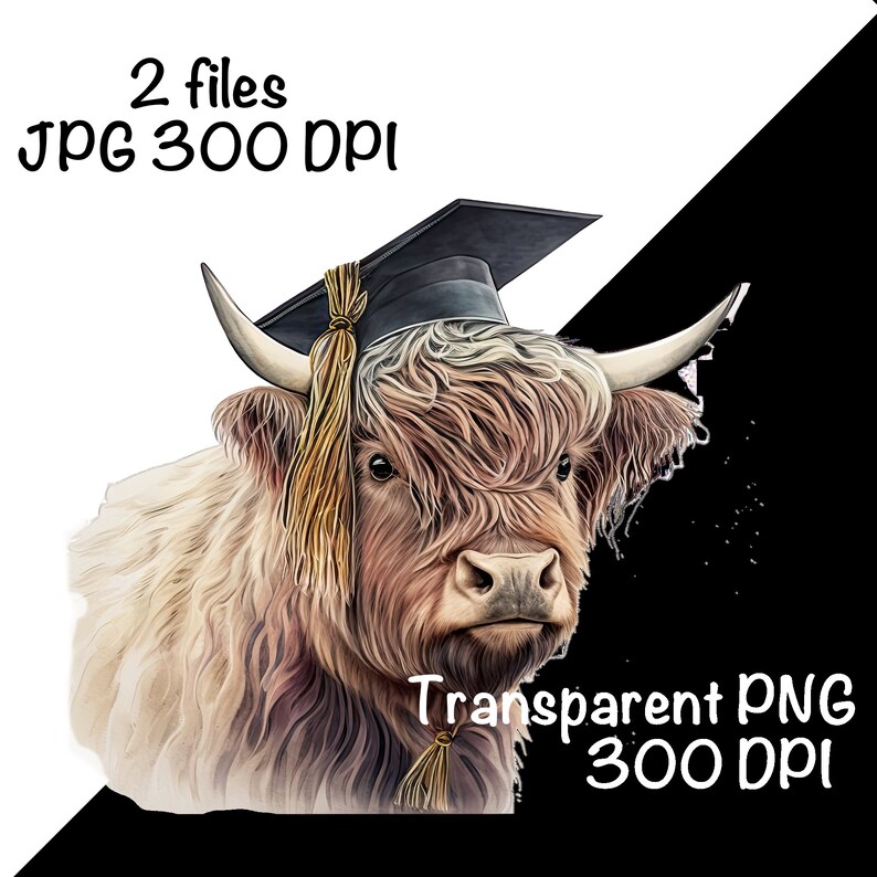 Highland Cow Watercolor Clipart Highland Cow Graduation Cap - Etsy