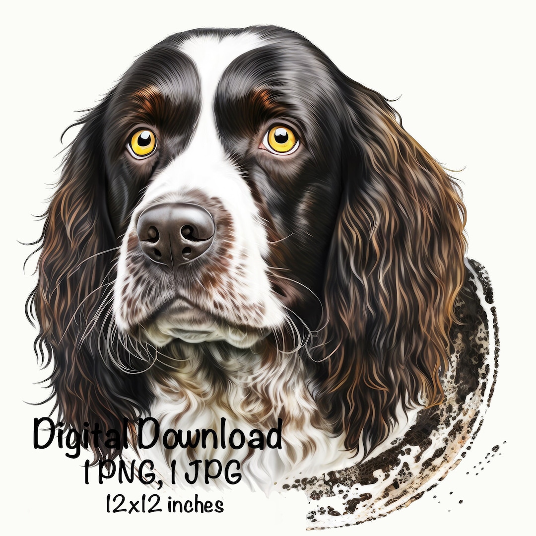 Bird Hunting Dog PNG Clipart English Springer Spaniel PNG Commercial ...