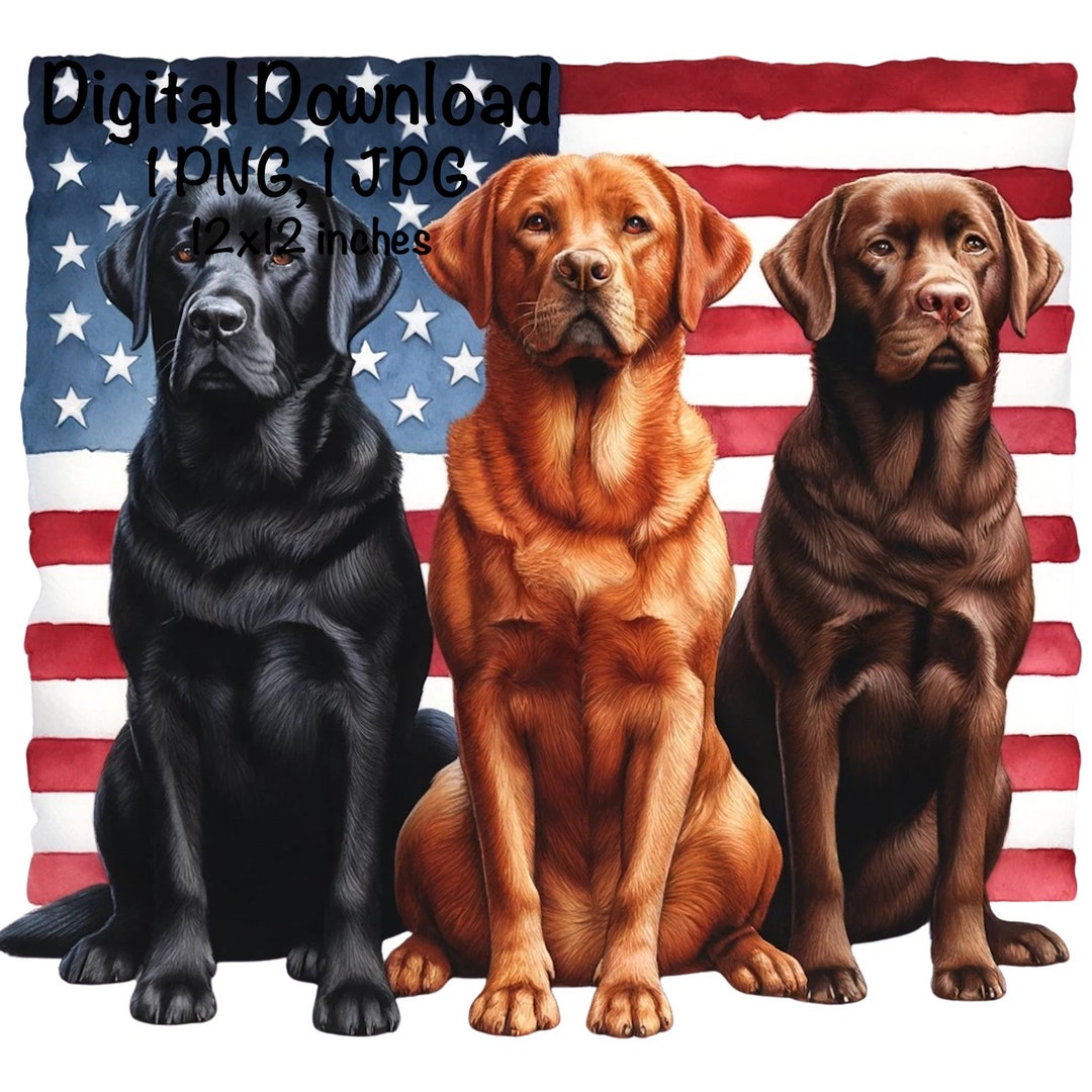 Patriotic Labrador Dogs Sublimation | American Labrador PNG | Melanin ...