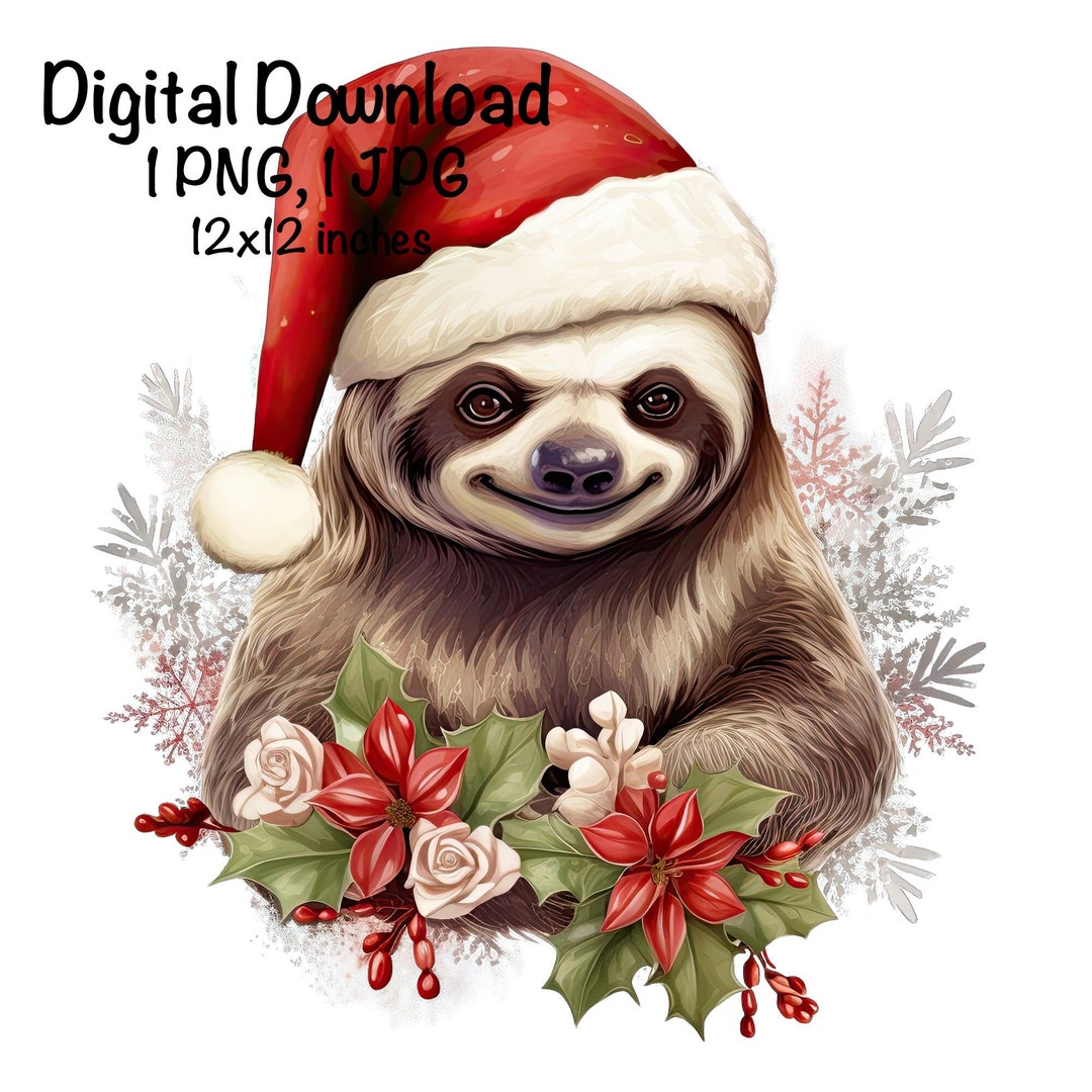 Christmas Sloth PNG Watercolor Clipart Winter Sloth Christmas Flowers ...