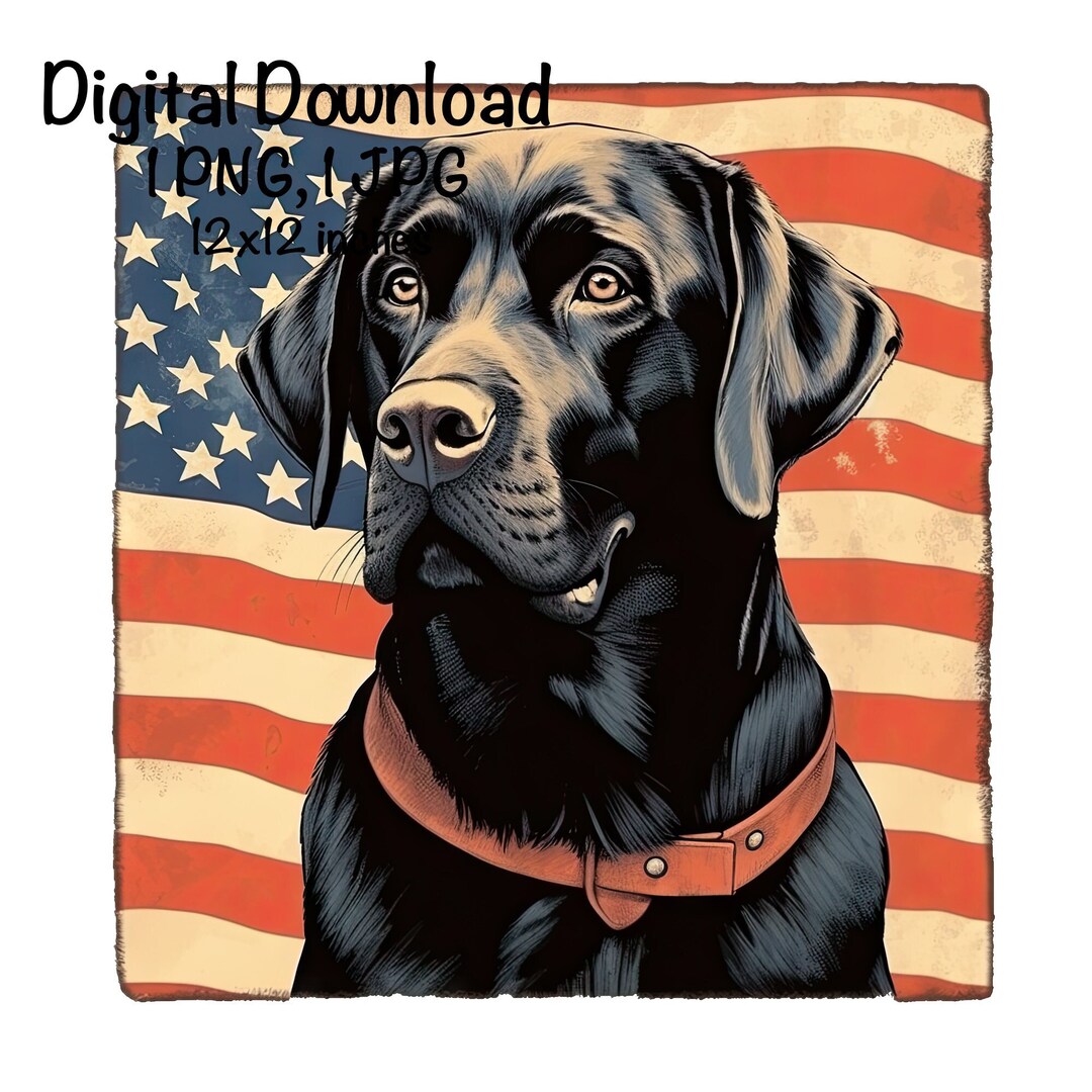 Black Lab Flag PNG Patriotic USA Labrador Flag Clipart American Dog ...