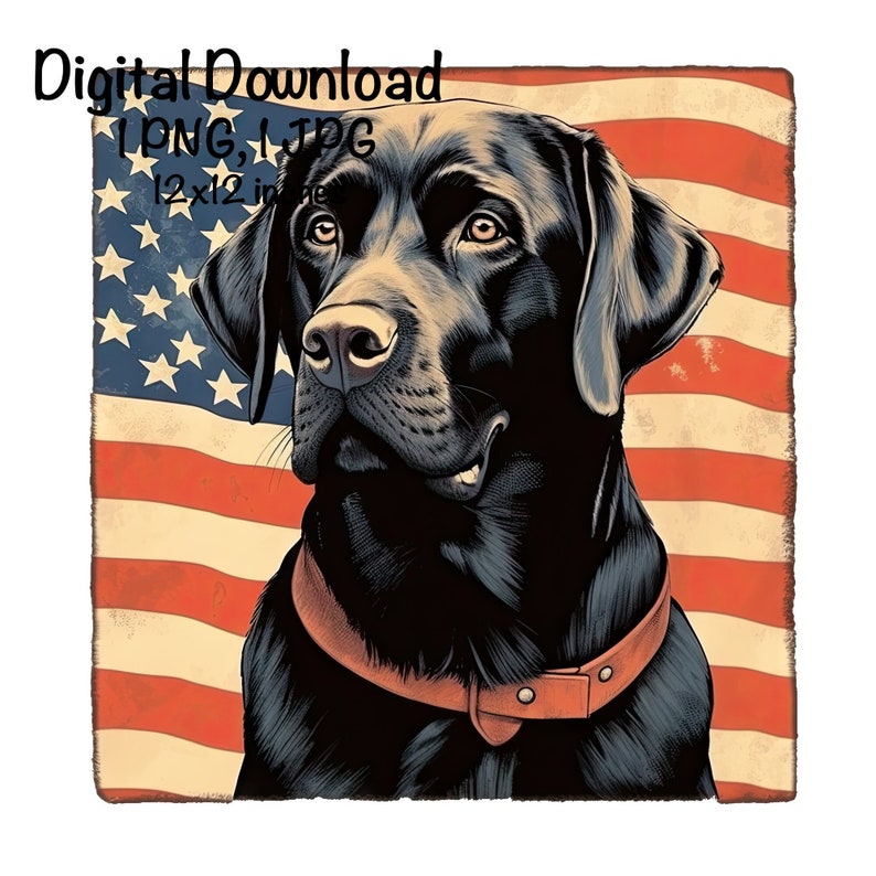 Black Lab Flag PNG Patriotic USA Labrador Flag Clipart - Etsy