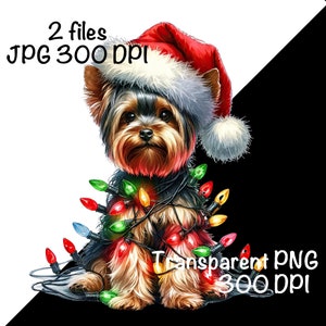 Christmas Yorkshire Terrier Puppy PNG Christmas Lights Santa Yorkie Dog ...