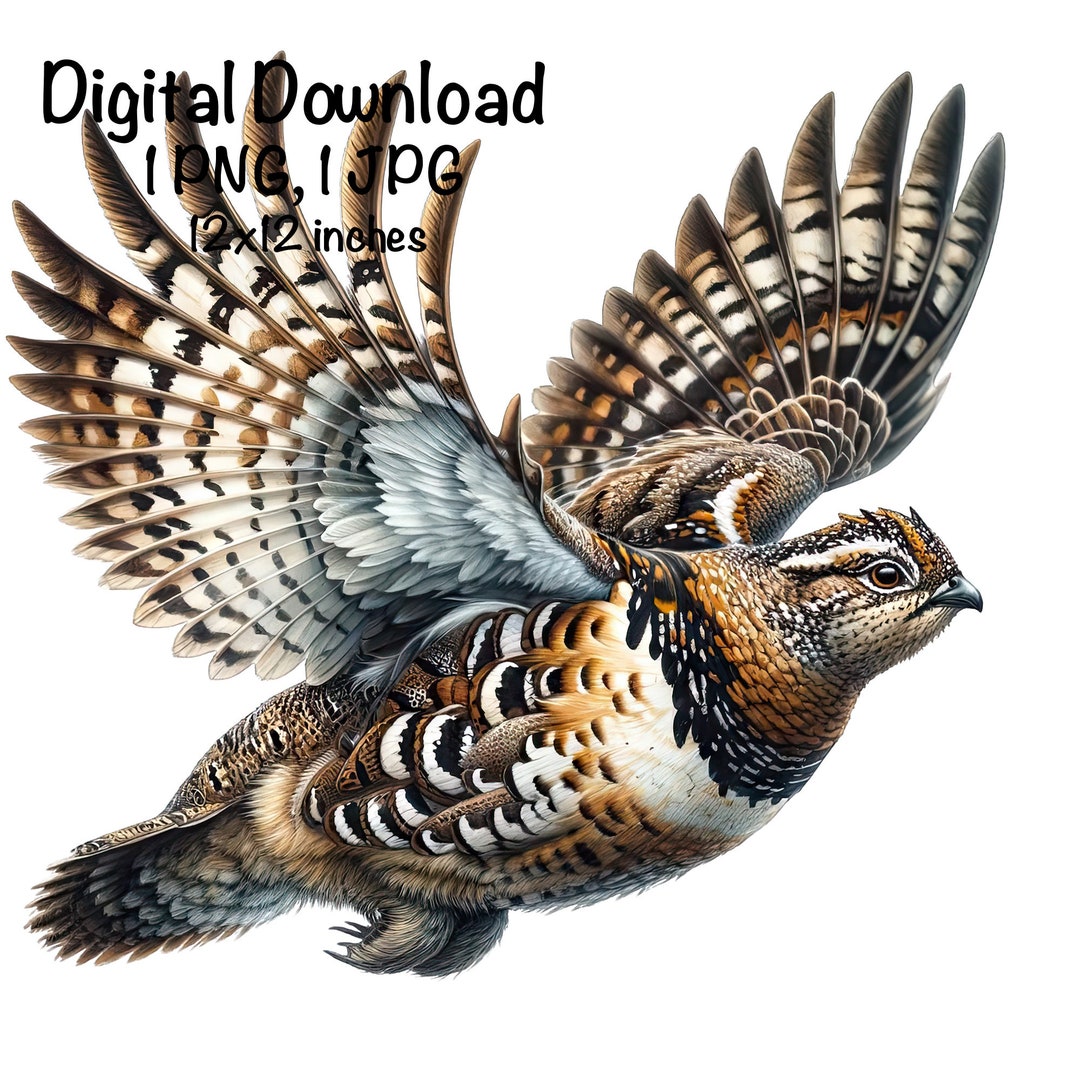 Ruffed Grouse Bird Sublimation PNG, Ruffed Grouse Flying PNG ...