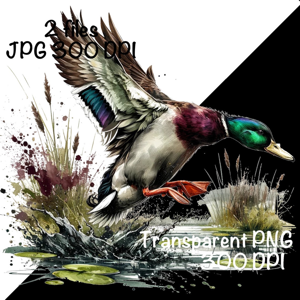 Mallard Duck PNG Wild Duck Sublimation PNG Mallard Duck Sublimation ...
