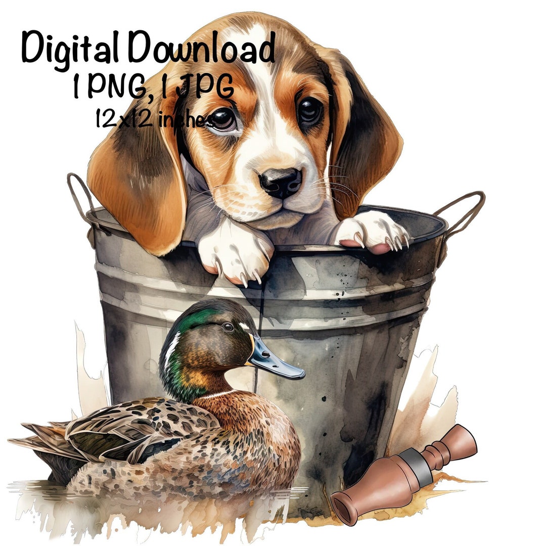 Beagle Dog PNG, Hunting Dog Sublimation, Beagle Dog in a Bucket Baby ...