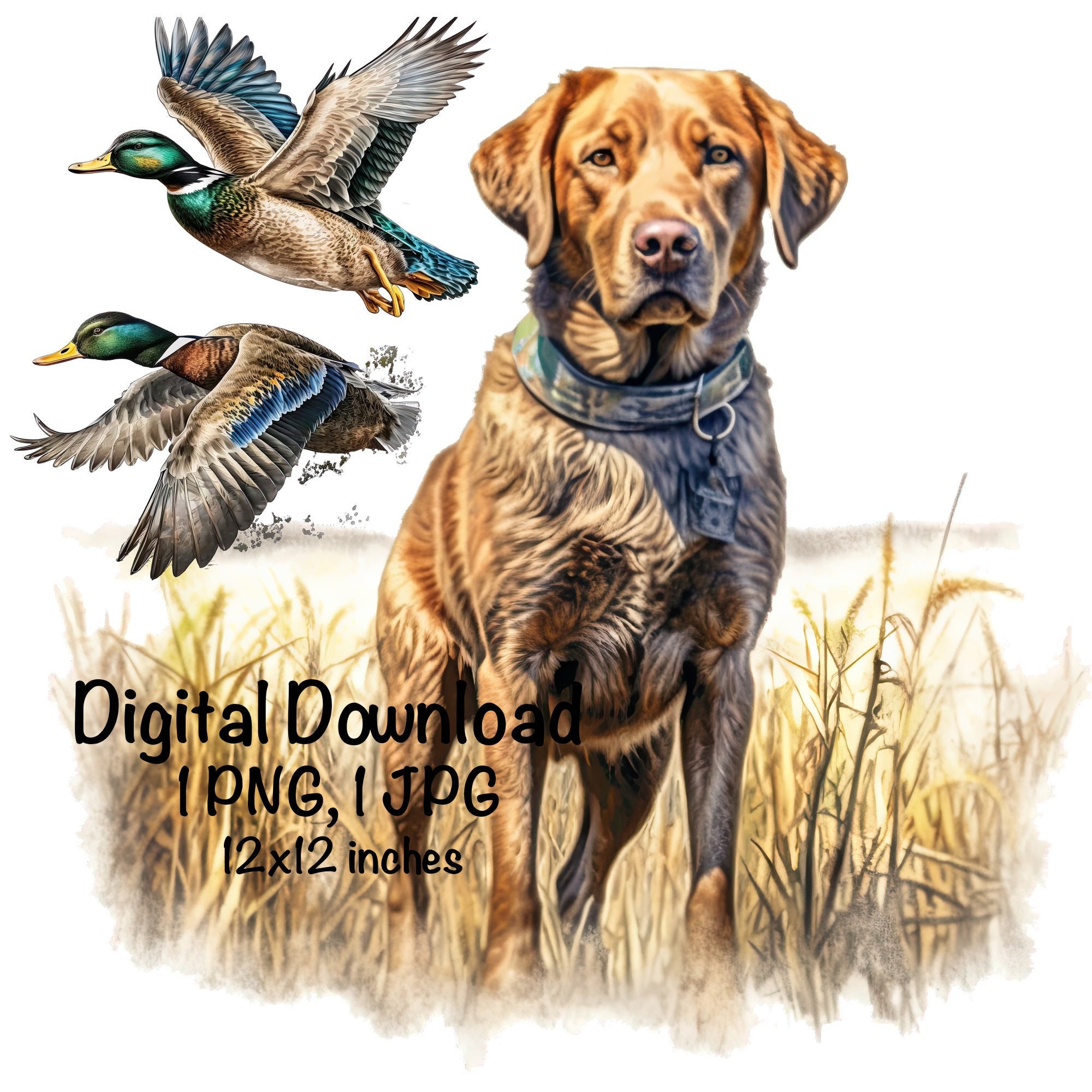 Duck Duck Hunting Dogs