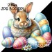 Easter Bunny Sublimation PNG, Cute Bunny Easter Eggs Farm Rabbit PNG ...