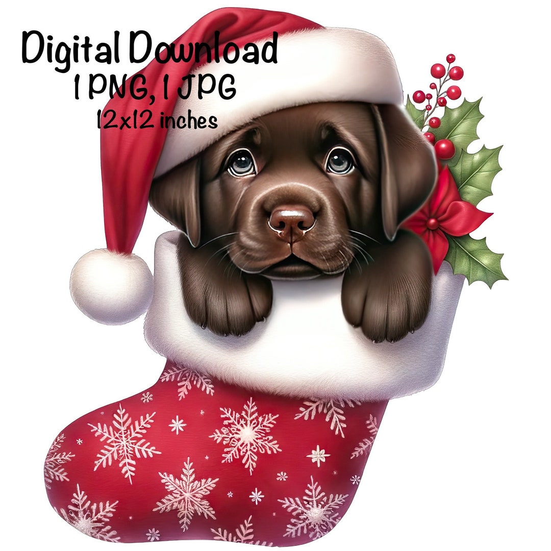 Christmas Labrador Puppy PNG Christmas Stocking Chocolate Labrador ...