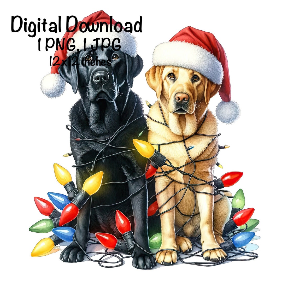 Christmas Labradors PNG Christmas Lights Santa Labrador Dogs ...