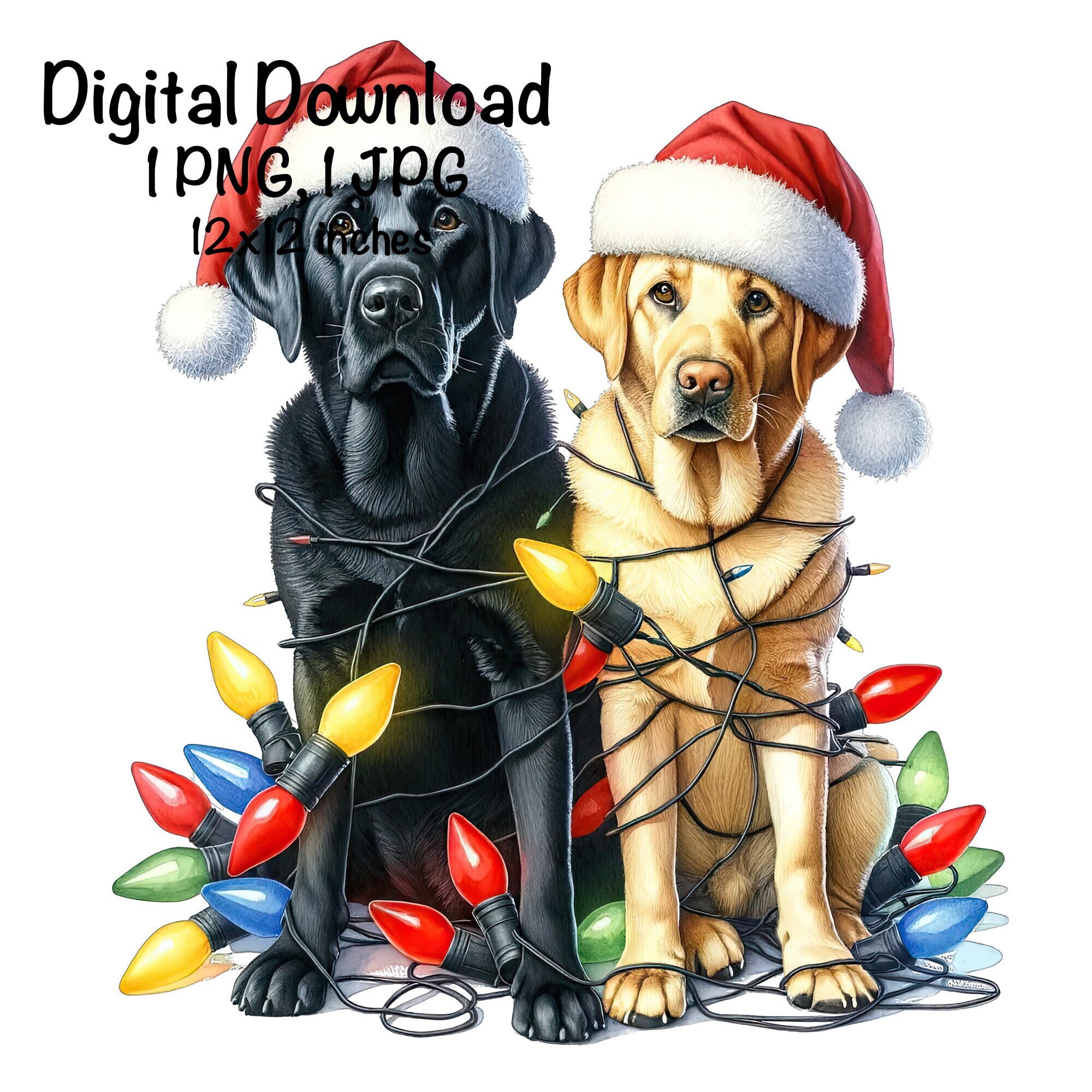 Christmas Labradors PNG Christmas Lights Santa Labrador Dogs ...