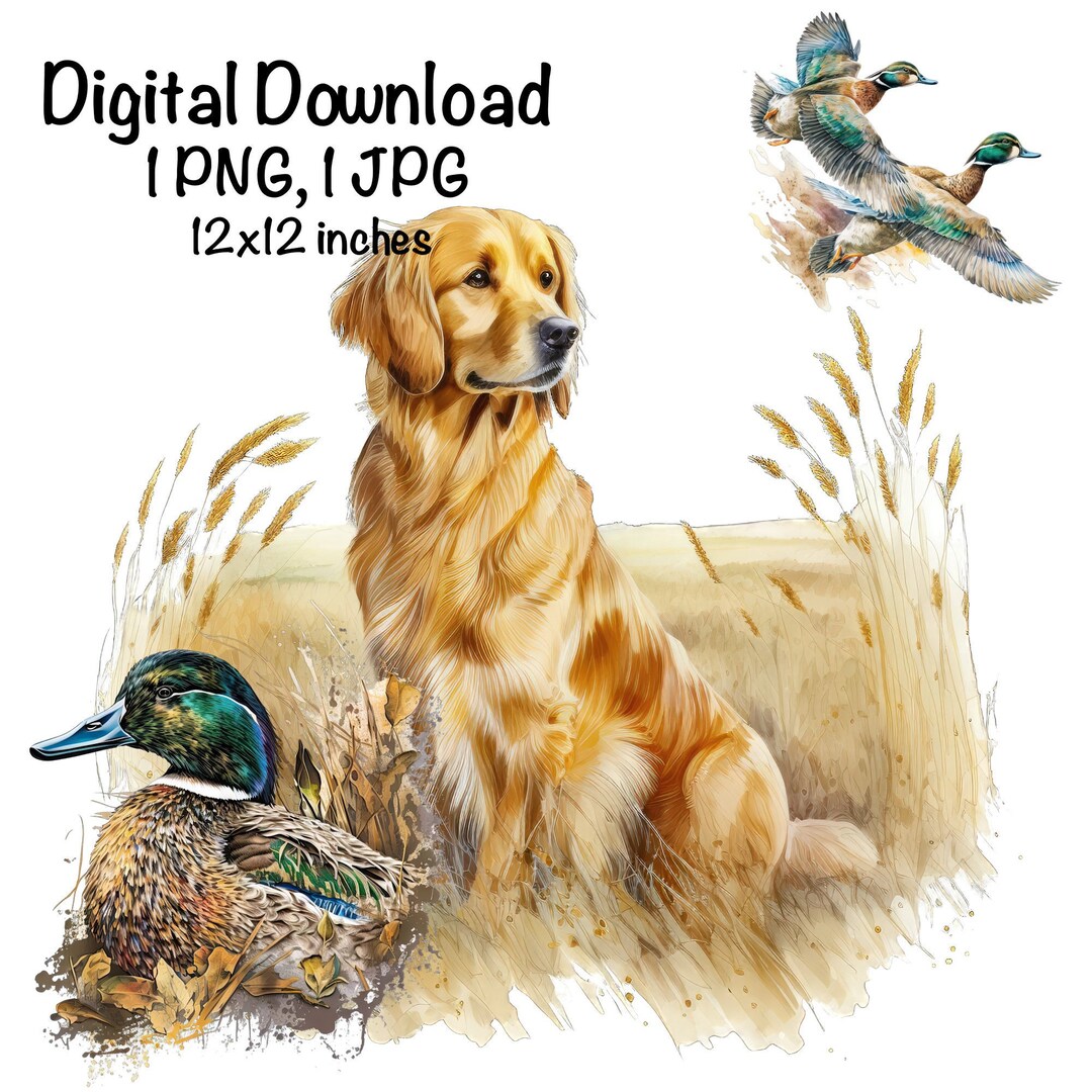 Duck Hunting Dog Watercolor Clipart Golden Retriever Dog PNG Commercial ...