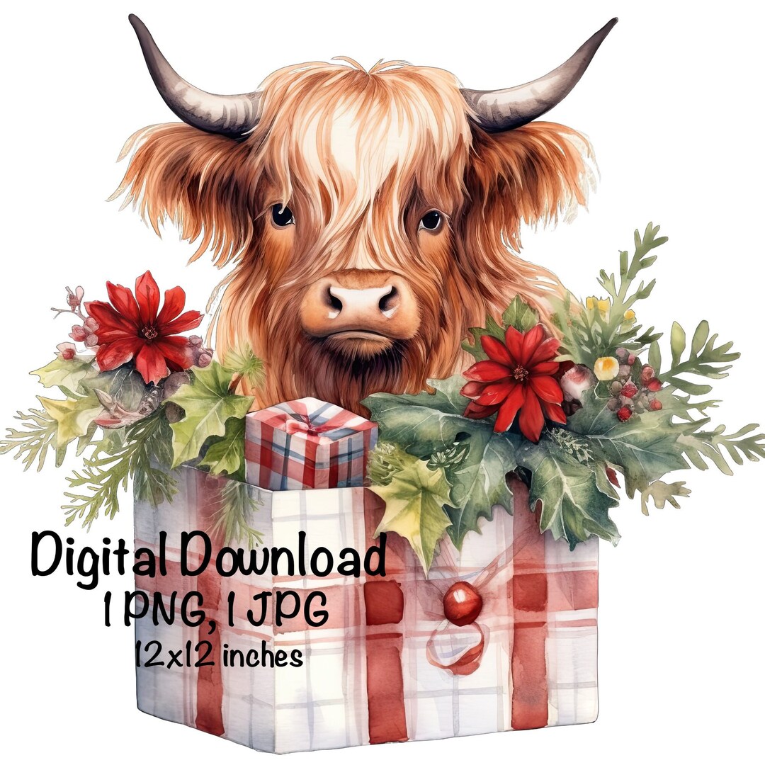 Highland Cow Watercolor Clipart Highland Cow Christmas Flowers Holiday ...