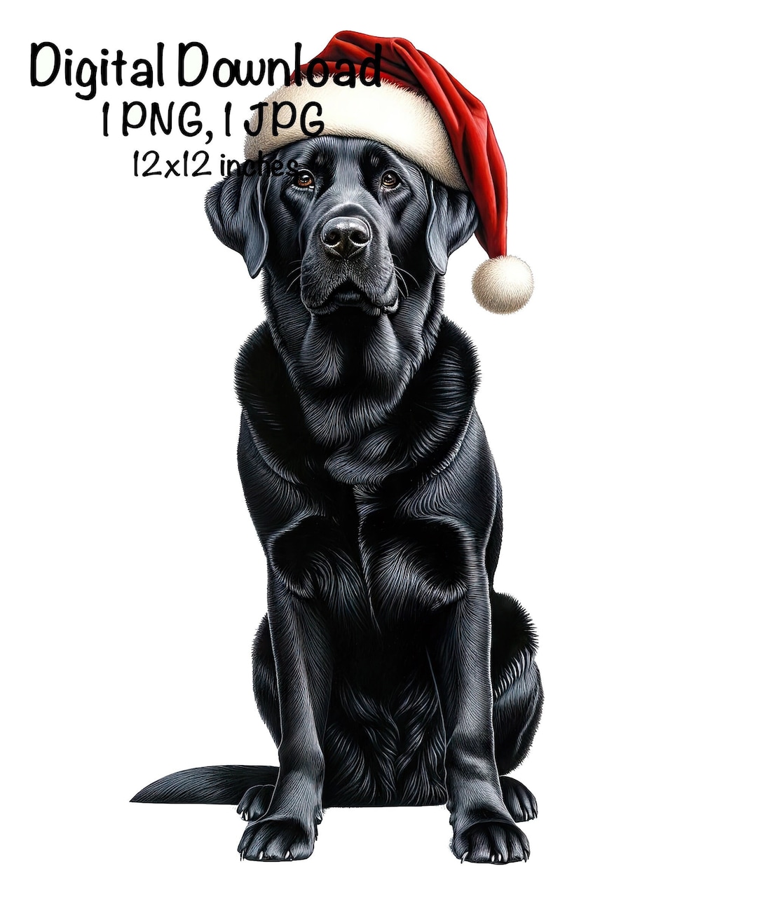 Christmas Labrador PNG Christmas Santa Hat Black Labrador Sublimation ...