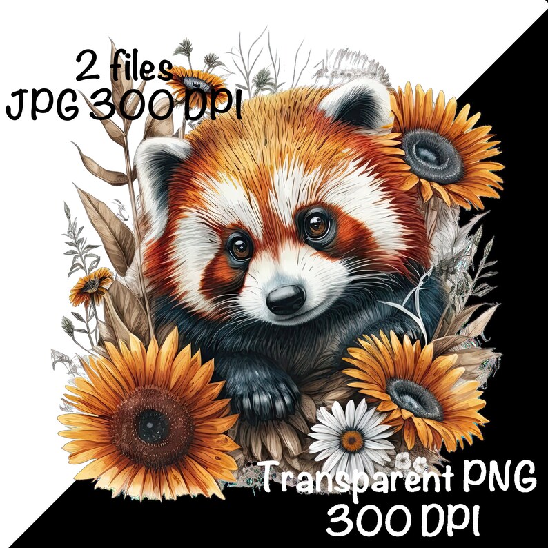 Red Panda Watercolor Clipart Lesser Panda Sunflowers Flowers - Etsy