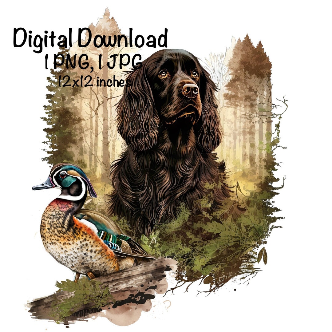 Boykin Spaniel Dog Watercolor Clipart Boykin Spaniel Dog PNG Commercial ...