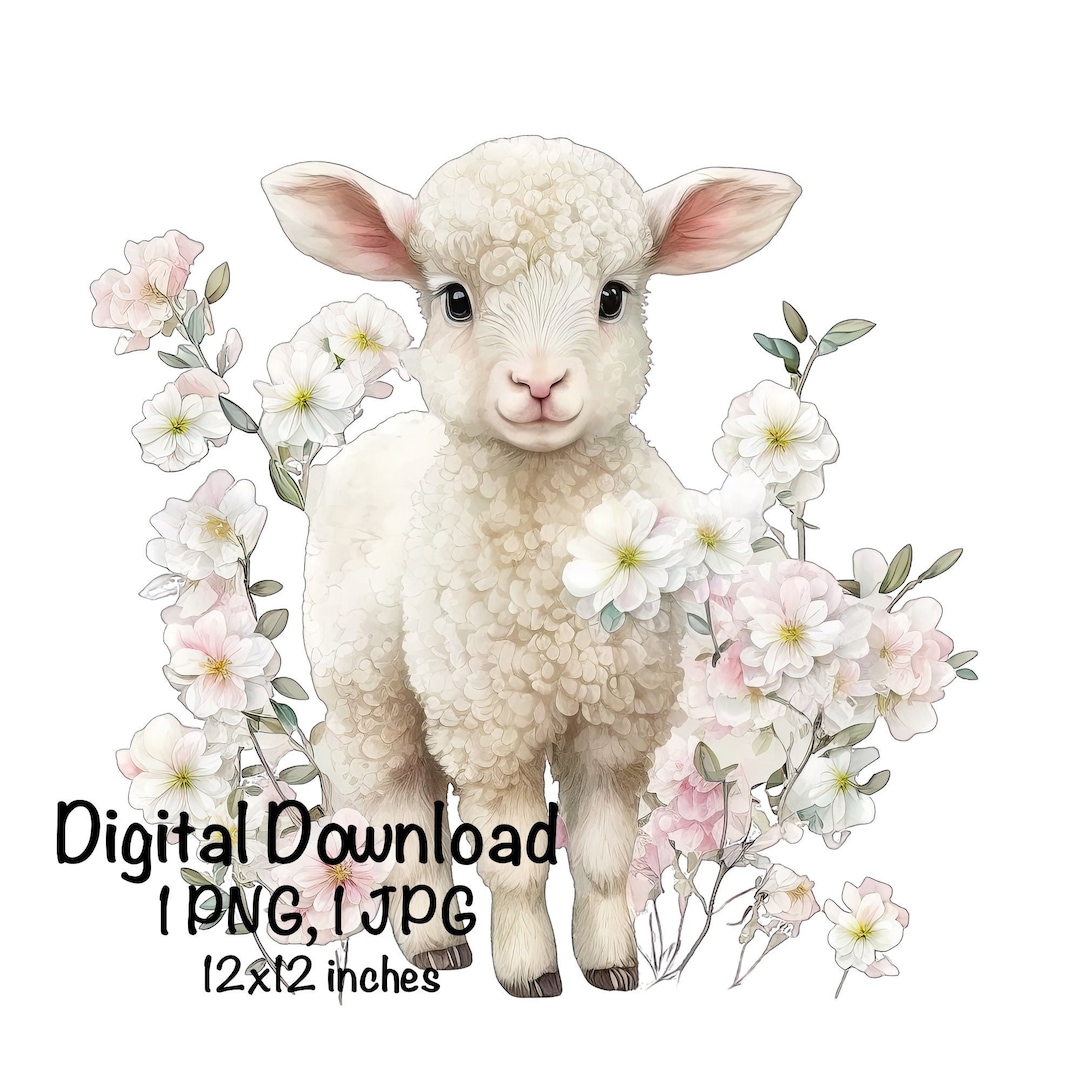 Cute Baby Lamb Watercolor Clipart Lamb Spring Daisy Flowers PNG ...