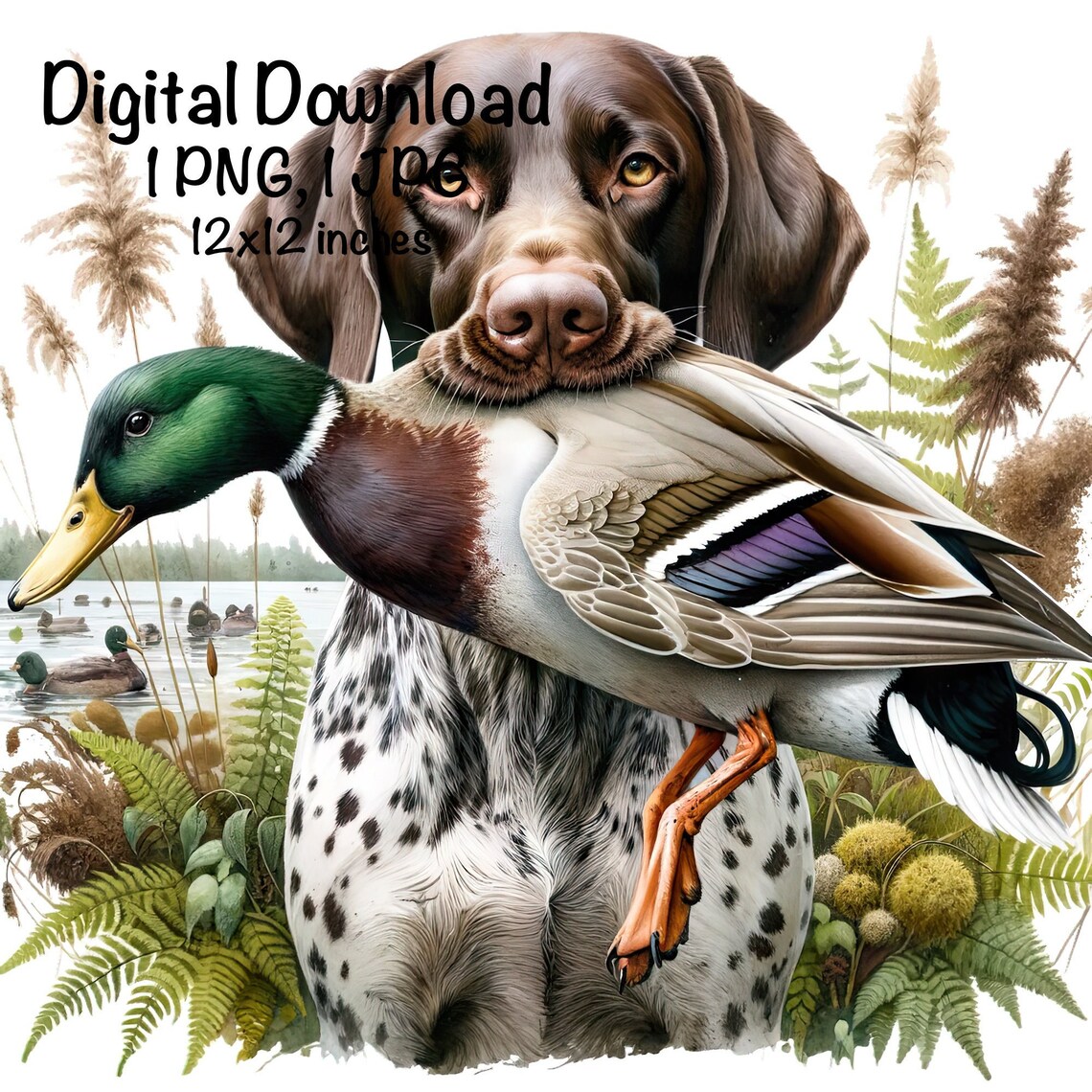 Pointer Dog PNG Duck Hunting Shorthaired Pointer Dog PNG Download ...