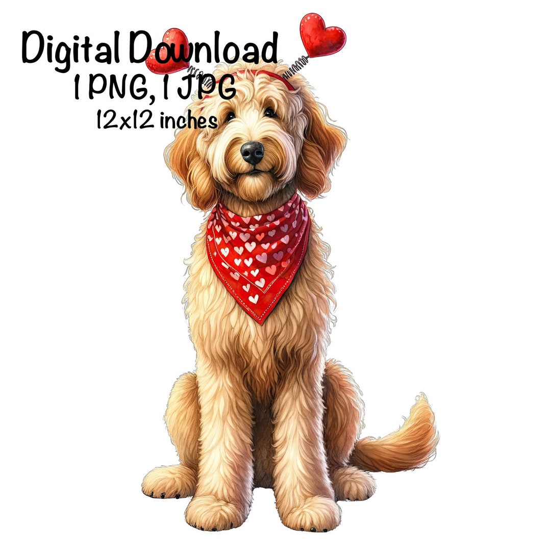 Valentine's Goldendoodle Puppy PNG Valentine's Day Golden Doodle Dog ...