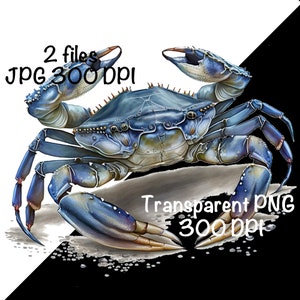 Blue Crab Watercolor Crabbing Fishing Clipart Blue Crab PNG Commercial ...