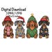 Christmas Dachshund Dogs in a Row PNG, Santa Squad PNG, Funny Dogs ...