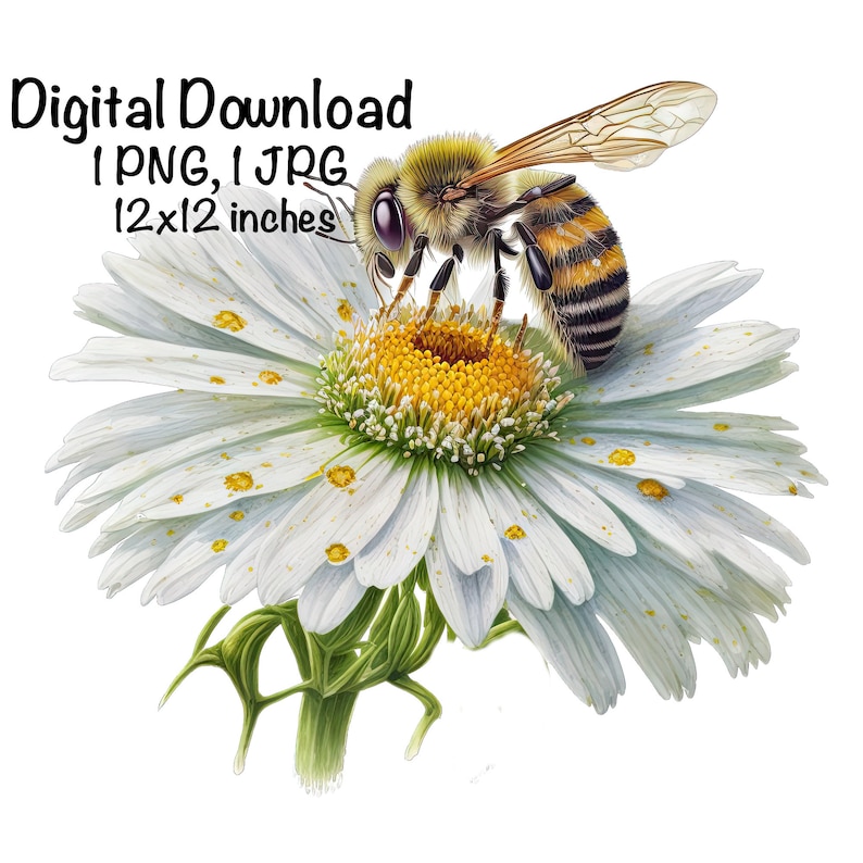 Honey Bee Daisy Flower Watercolor Clipart Bee Flowers Commercial Use ...
