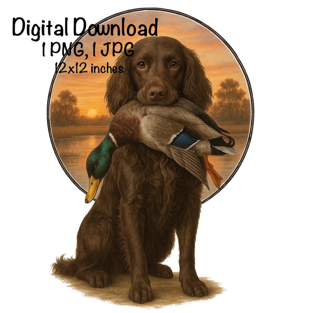 Boykin Spaniel Dog PNG, Vintage Boykin Duck Hunting Dog PNG, Sunset ...