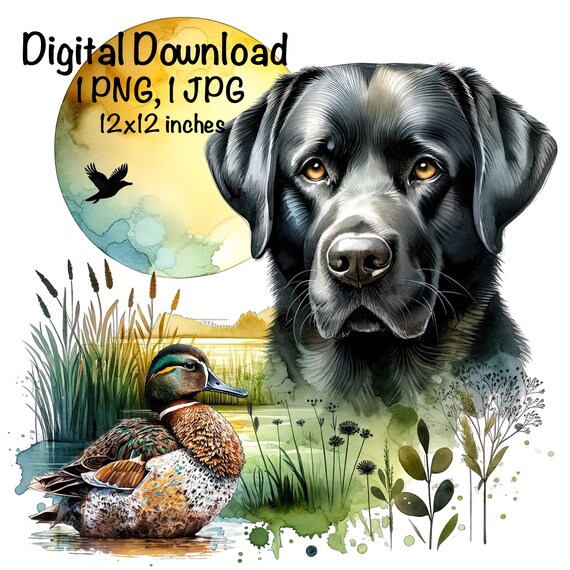 Tableau De Chasse Au Labrador Noir Fiche Race : Le Retriever Du