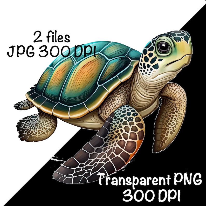 Sea Turtle Cute Sea Turtle Clipart Ocean Animals Sea Turtle - Etsy
