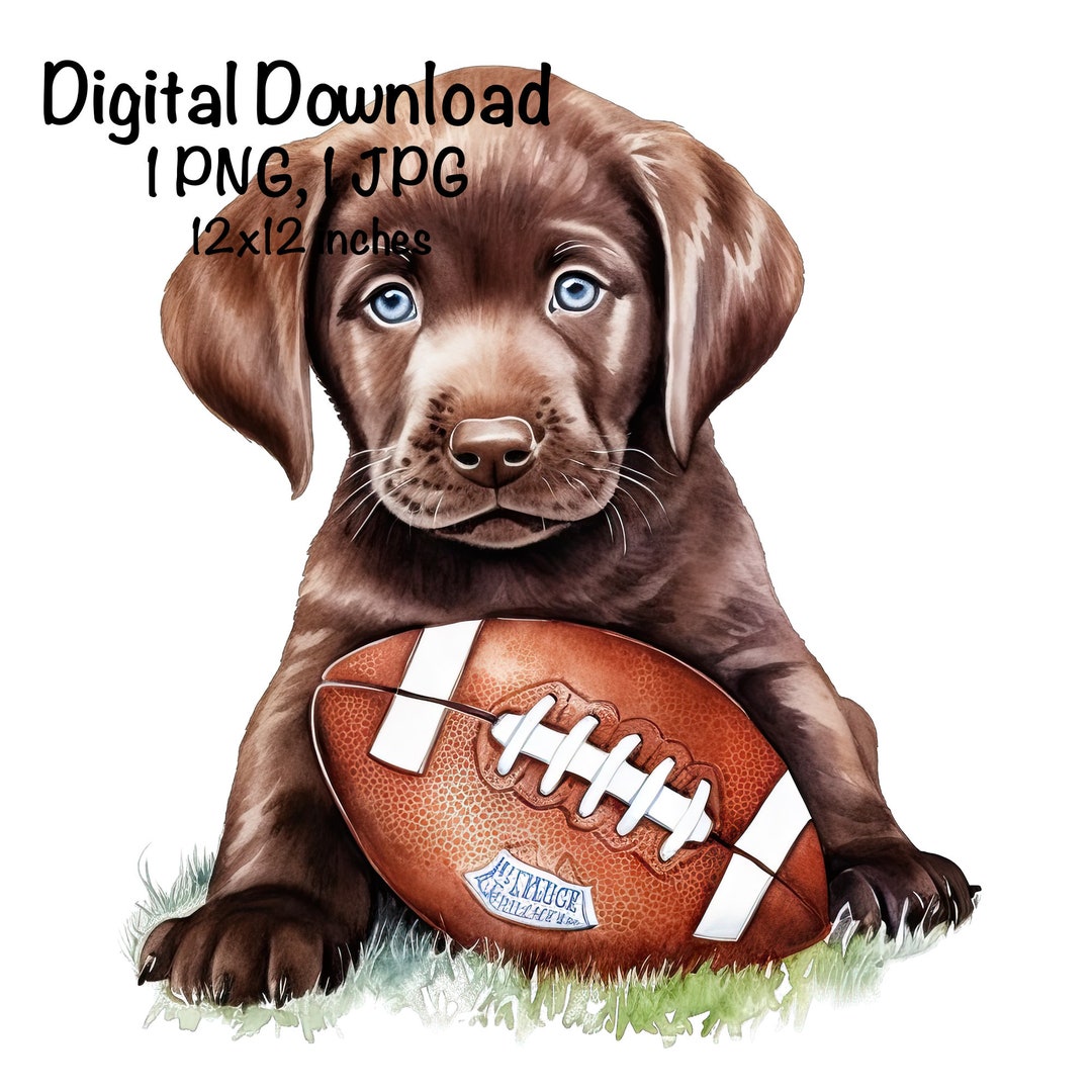 Football Labrador Dog PNG Watercolor Clipart Cute Labrador Puppy Dog ...