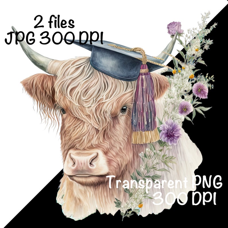 Highland Cow Watercolor Clipart Highland Cow Graduation Spring - Etsy
