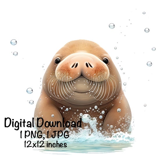 Cute Walrus Clipart