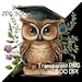 Graduation Owl Clipart Grad Student Owl PNG College Graduation ...