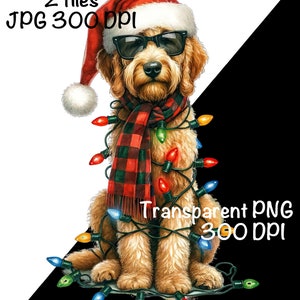 Christmas Goldendoodle Puppy PNG Christmas Lights Santa Reindeer Doodle ...