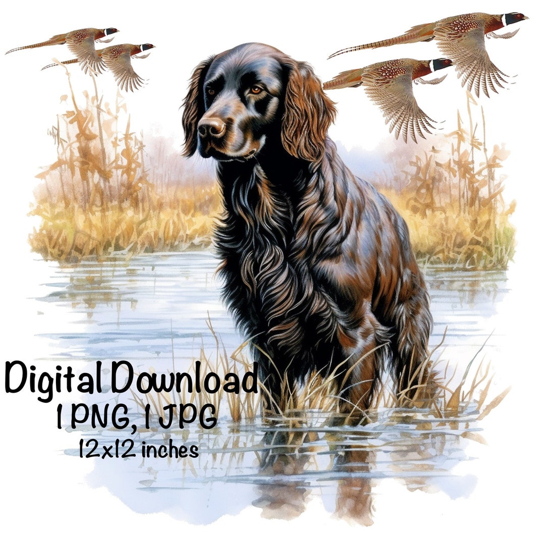Boykin Spaniel Dog Watercolor Hunter Bokin Cute Dog PNG - Etsy
