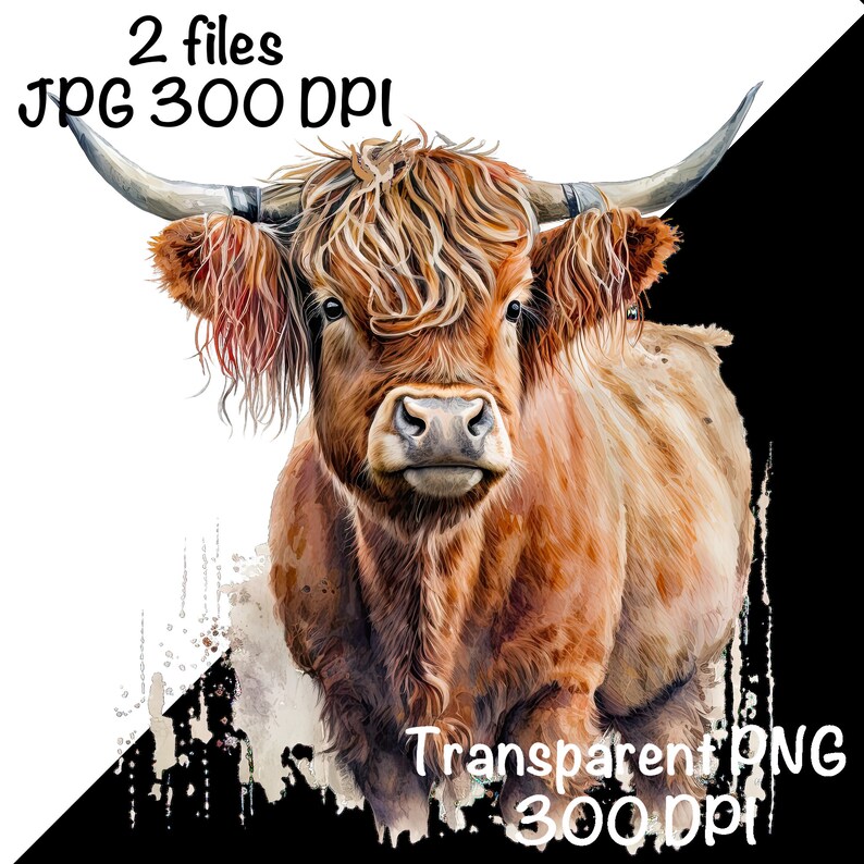 Highland Cow Watercolor Clipart Red Highland Cow Red Hair - Etsy