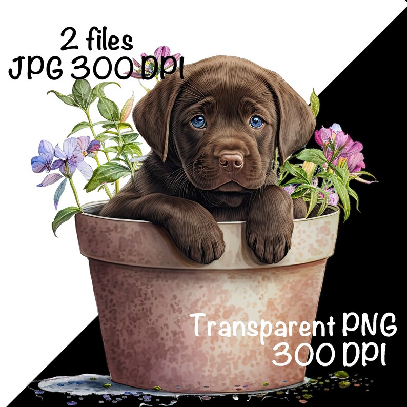 Labrador Puppy Watercolor Clipart Cute Lab Dog in a Flower Pot - Etsy