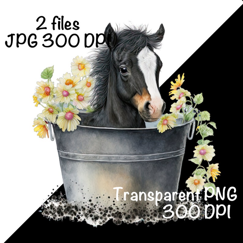 Black Horse Watercolor Clipart Cute Horse in a Bucket Baby - Etsy