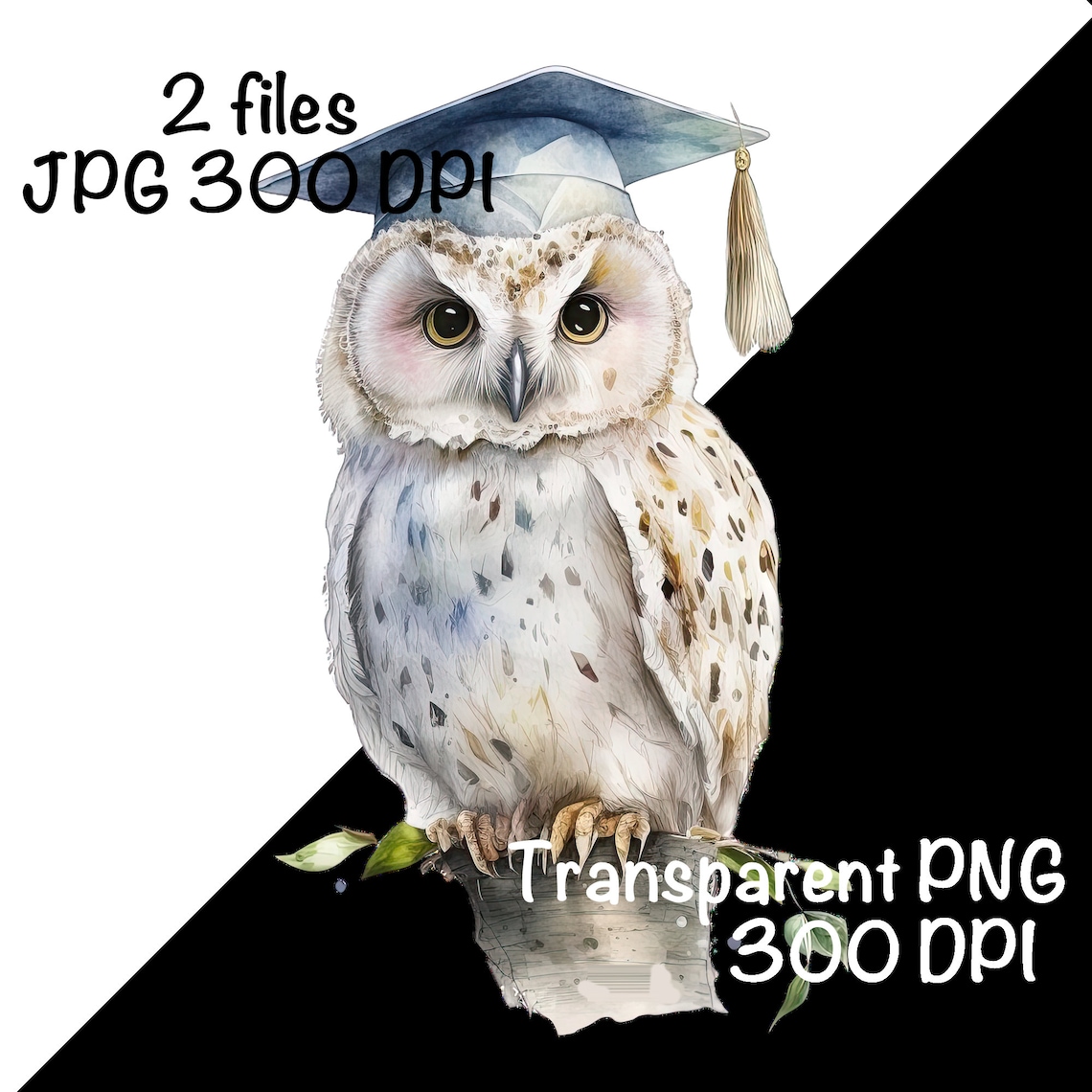 Graduation Owl Clipart Grad Student Owl PNG College Graduation - Etsy