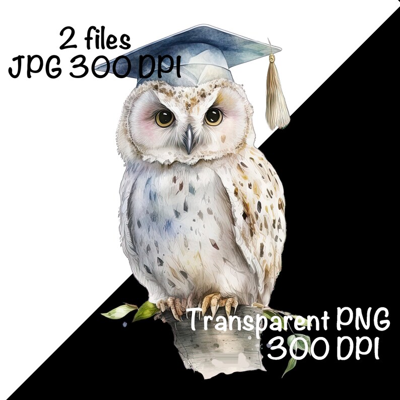 Graduation Owl Clipart Grad Student Owl PNG College Graduation - Etsy