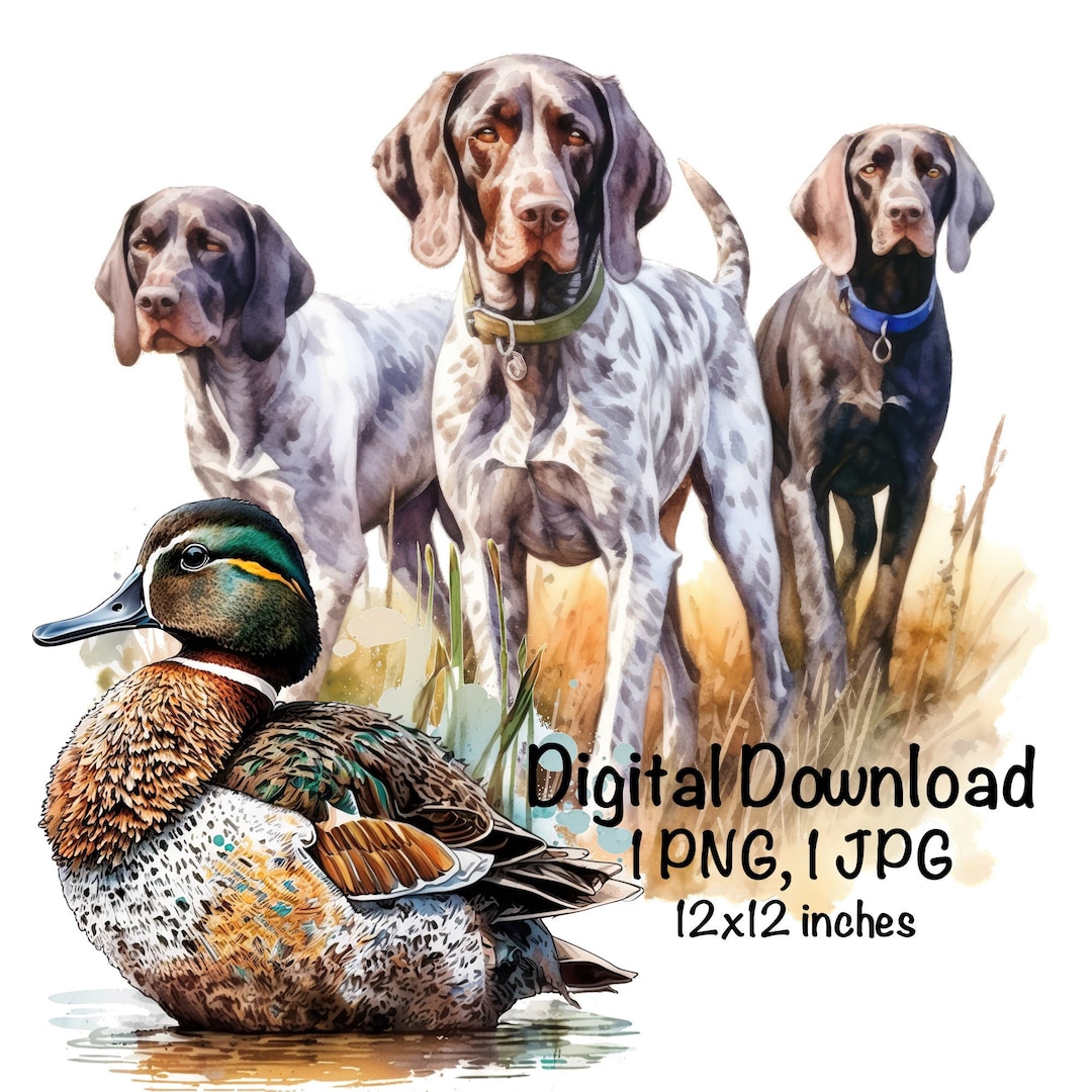 Duck Hunting Dogs Watercolor Clipart Pointer Bird Dogs PNG Commercial ...