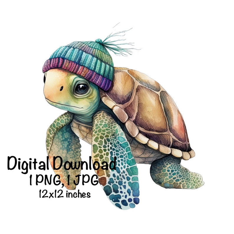 Winter Sea Turtle Watercolor Clipart Sea Turtle & Wool Cap PNG - Etsy
