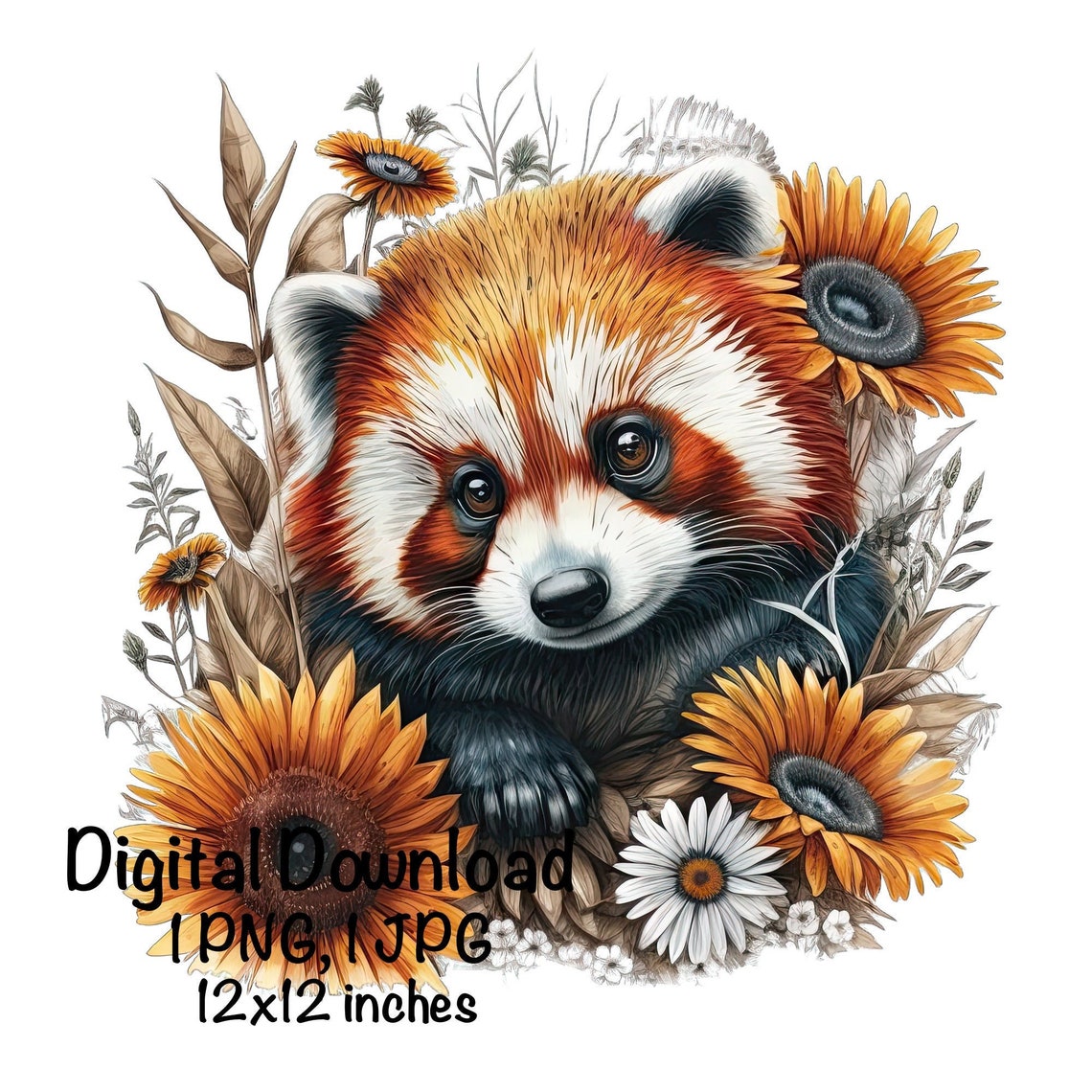 Red Panda Watercolor Clipart Lesser Panda Sunflowers Flowers Himalaya ...