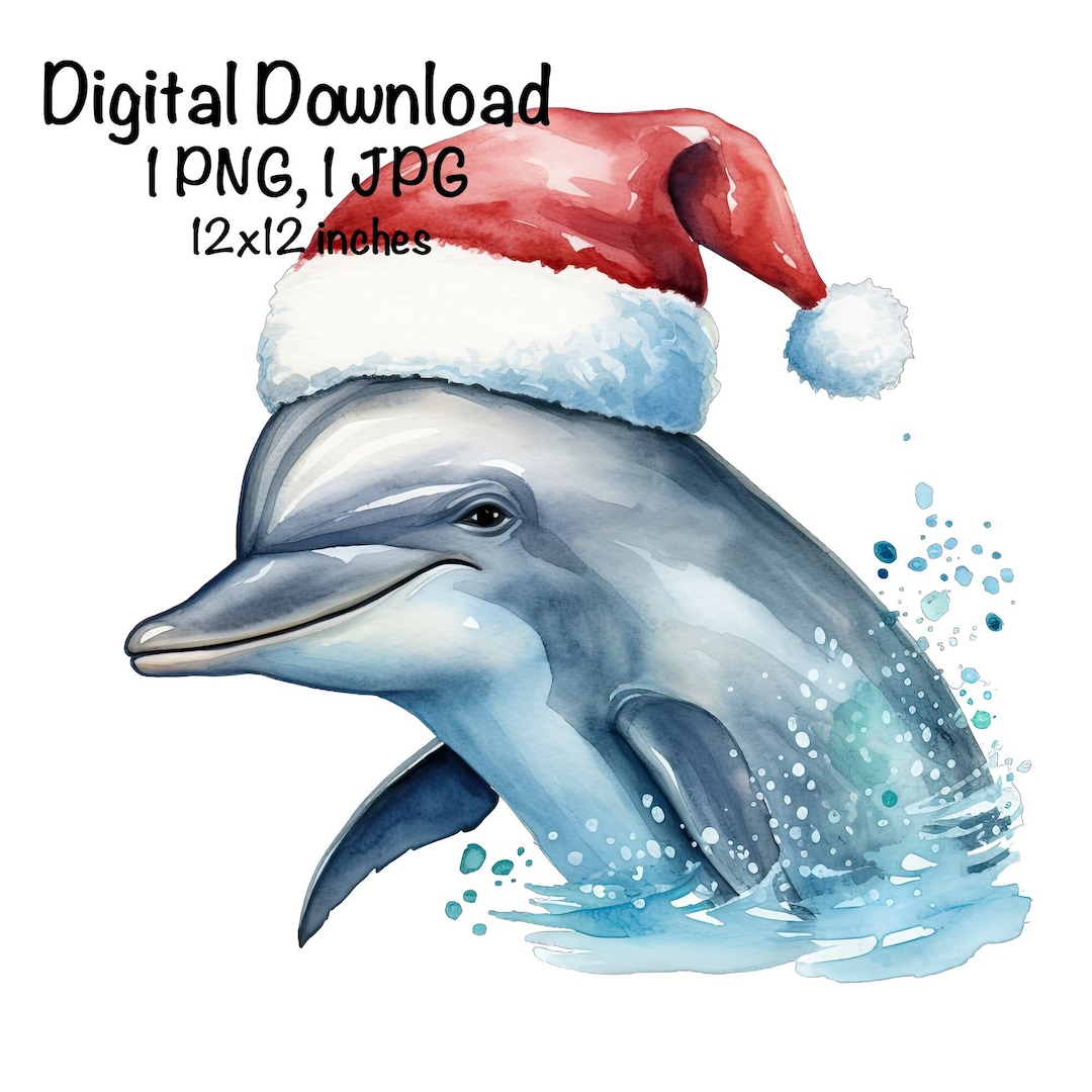 Dolphin PNG Christmas Dolphin Clipart Ocean Animals Sea - Etsy