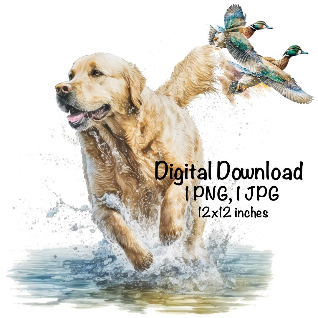 Duck Hunting Dog Watercolor Clipart Golden Retriever Dog PNG Commercial ...