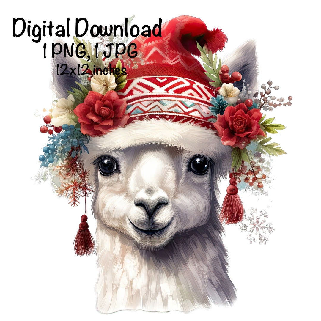 Christmas Llama Watercolor Clipart Winter Llama Christmas Flowers ...