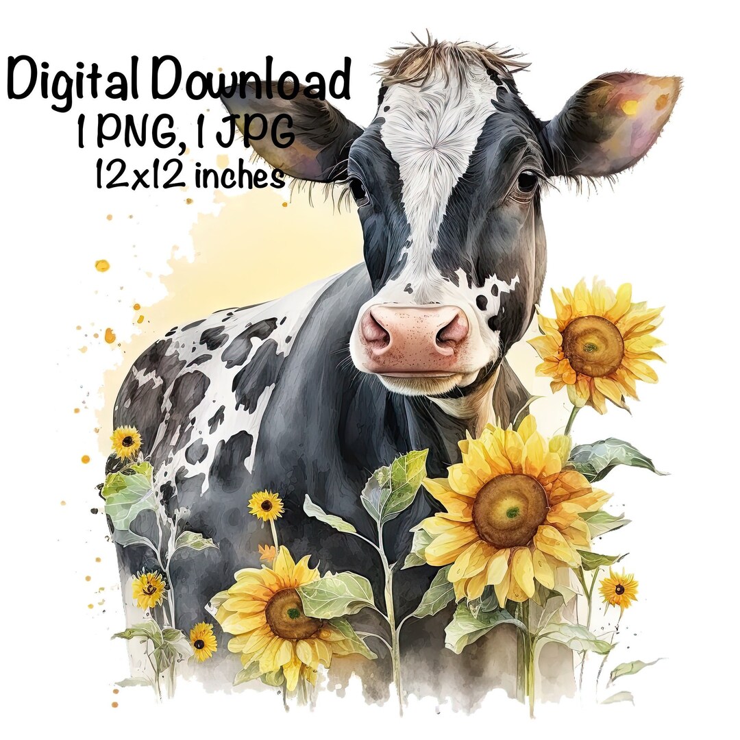 Dairy Milk Cow Watercolor Clipart Highland Cow Sunflowers Flowers PNG ...