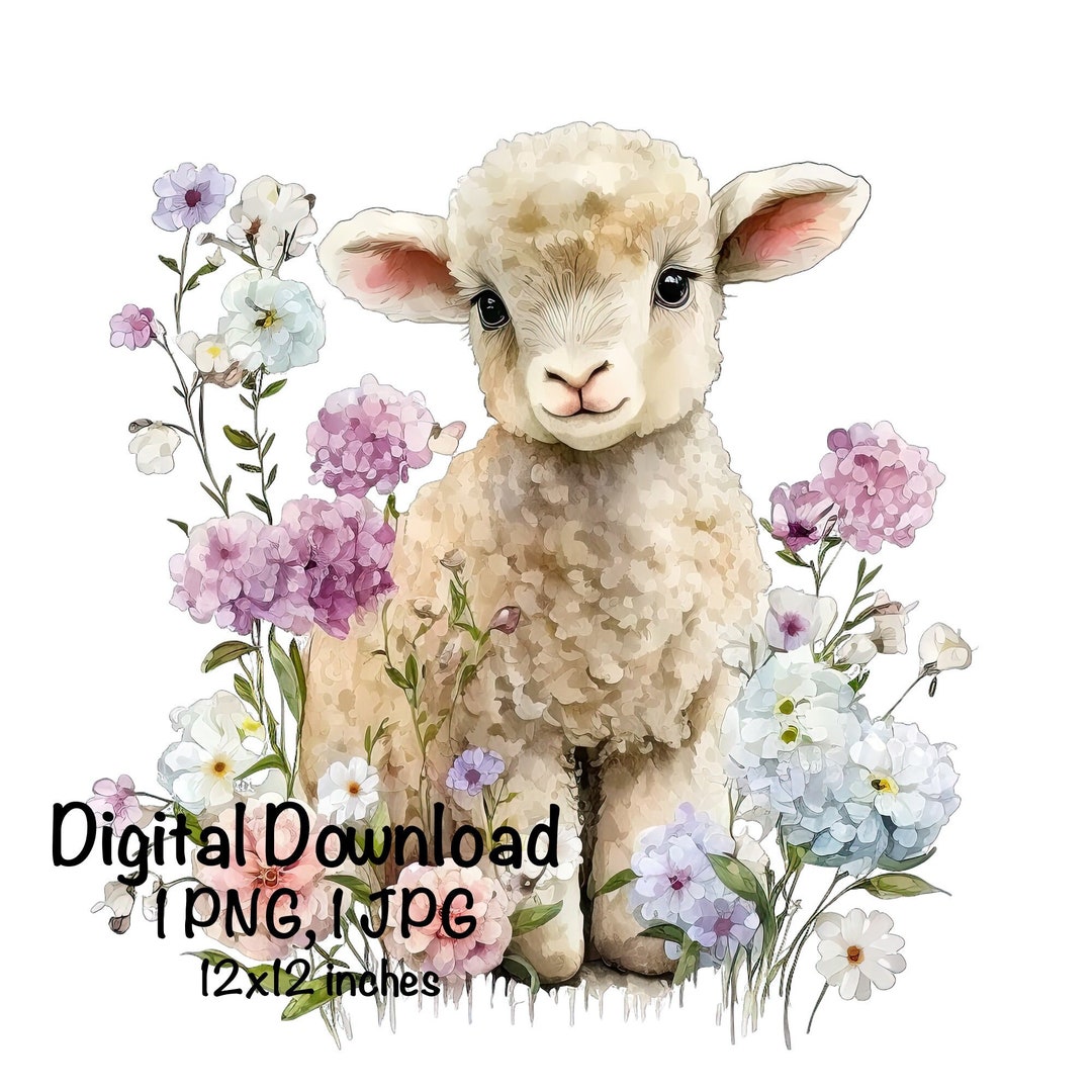 Cute Baby Lamb Watercolor Clipart Lamb Spring Daisy Flowers PNG ...