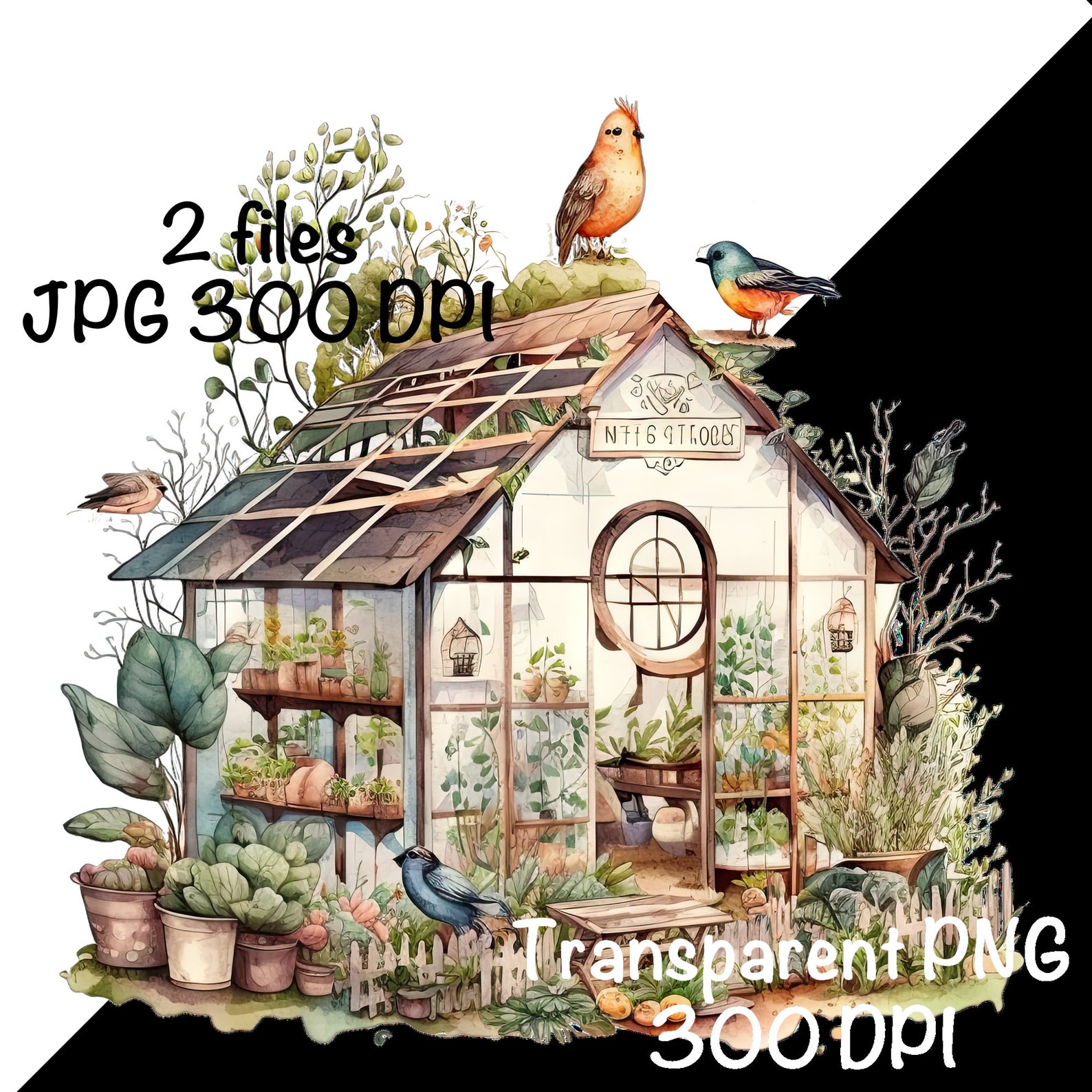 Farm Aviary Watercolor Farm Bird Aviary for Birds Clipart Wall - Etsy