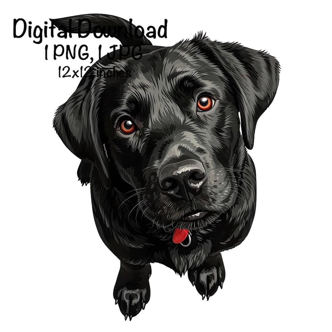 Black Labrador Dog PNG Black Labrador Retriever Sublimation Cute Lab ...